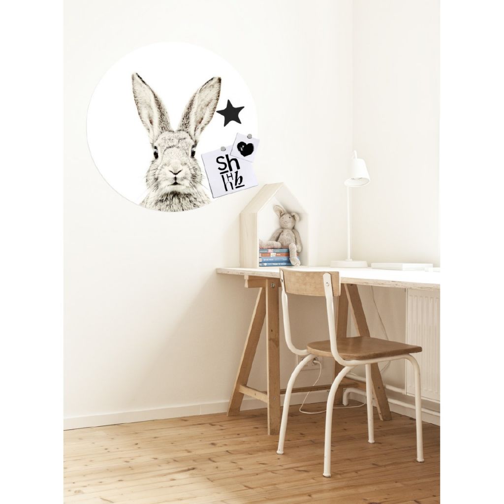Magnetic Wall Stickers